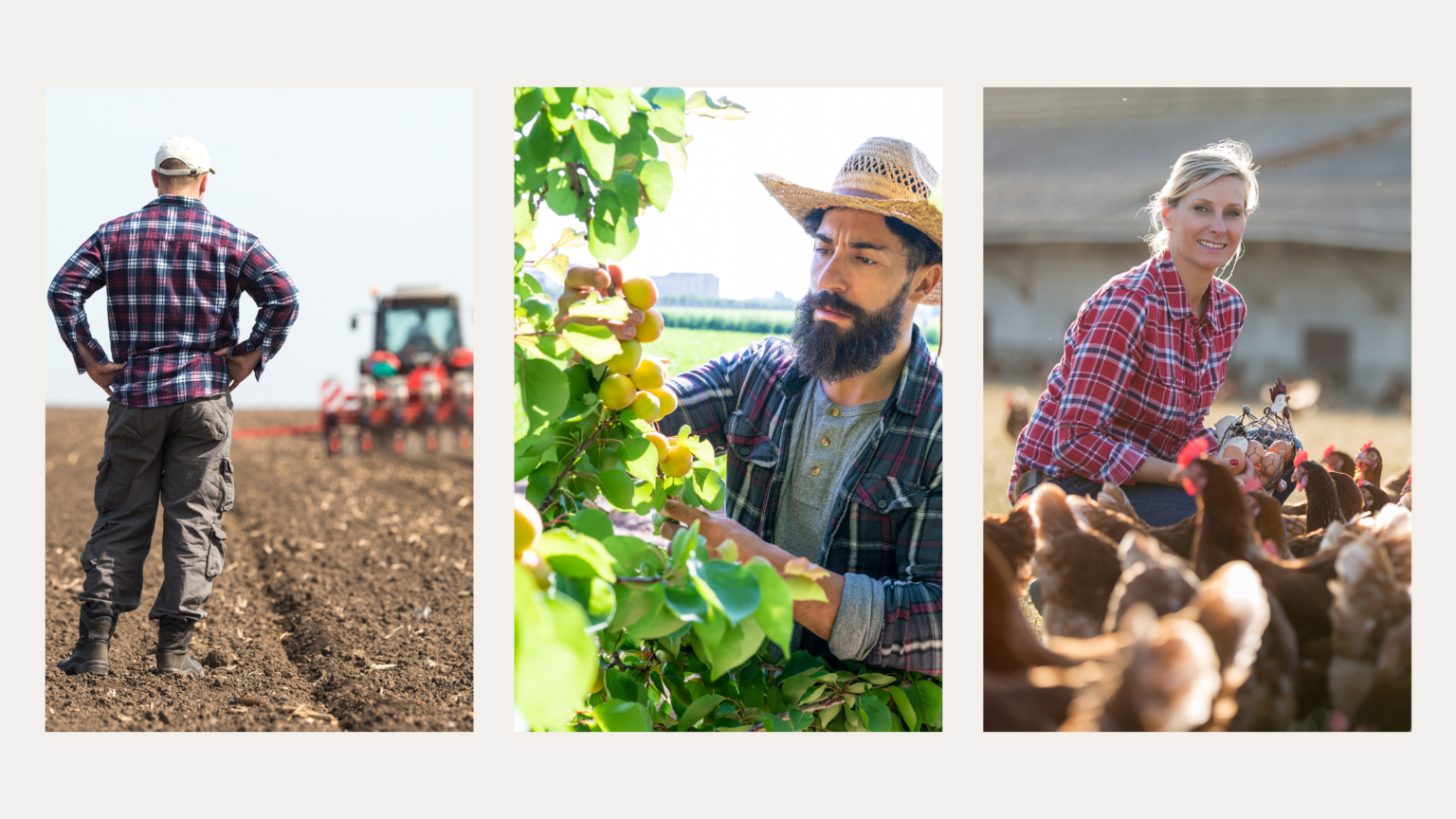 Farm to Fork EU Regulations: What does it mean? - Farmable